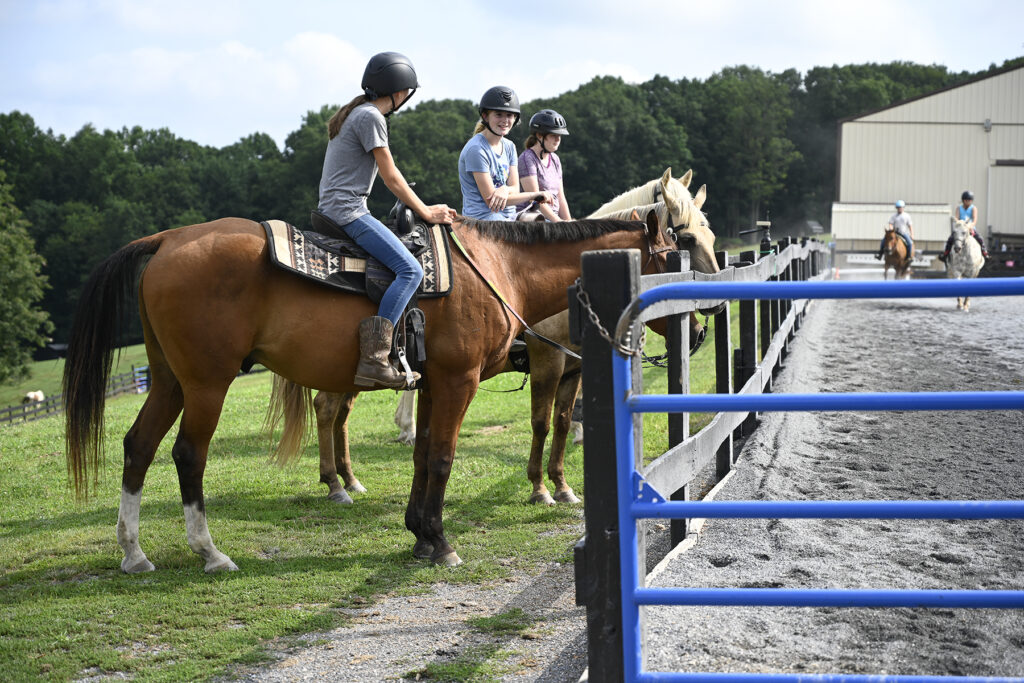 Meet Your Farm: High Ridge Farm - Carroll County Grown