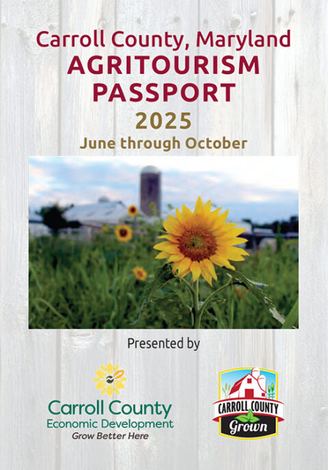 Community Driven STOP MPRP Website - Carroll County Grown